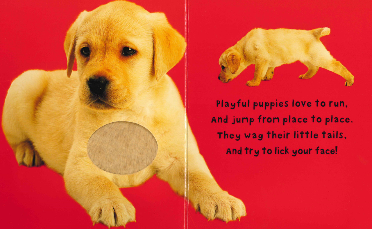 Go, Dog, Go! (Board Book) - Books By The Bushel