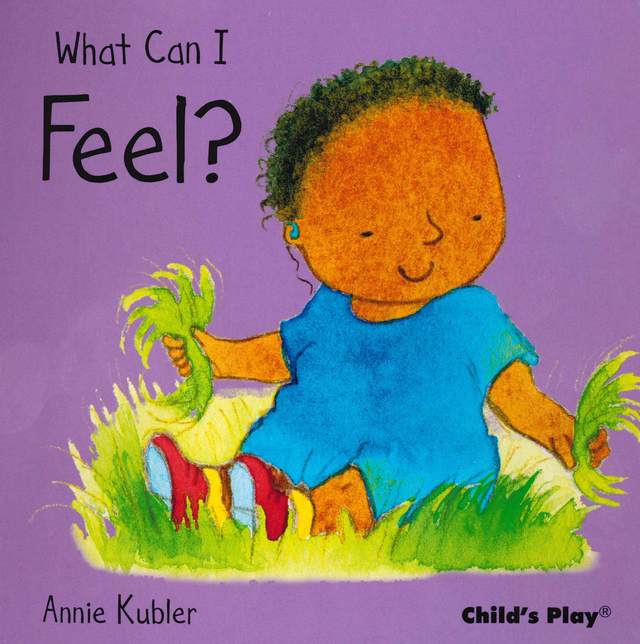 What Can I Feel? Small Senses (Board Book) - Books By The Bushel