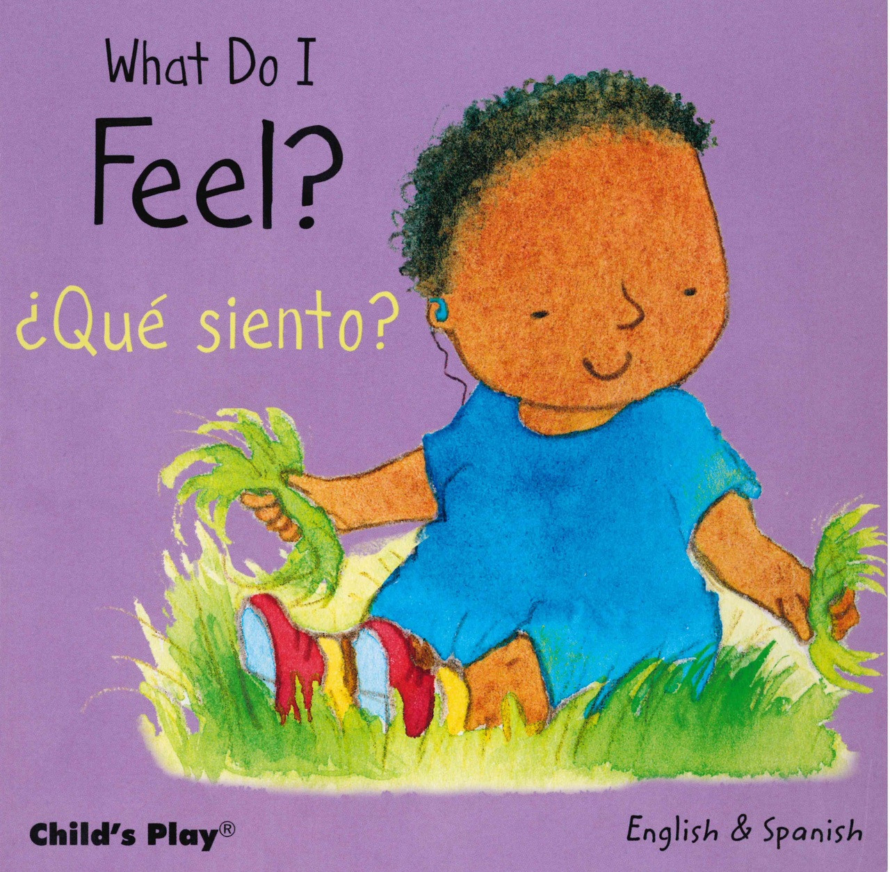 What Do I Feel? Small Senses (Spanish/English) (Board Book) - Books By ...
