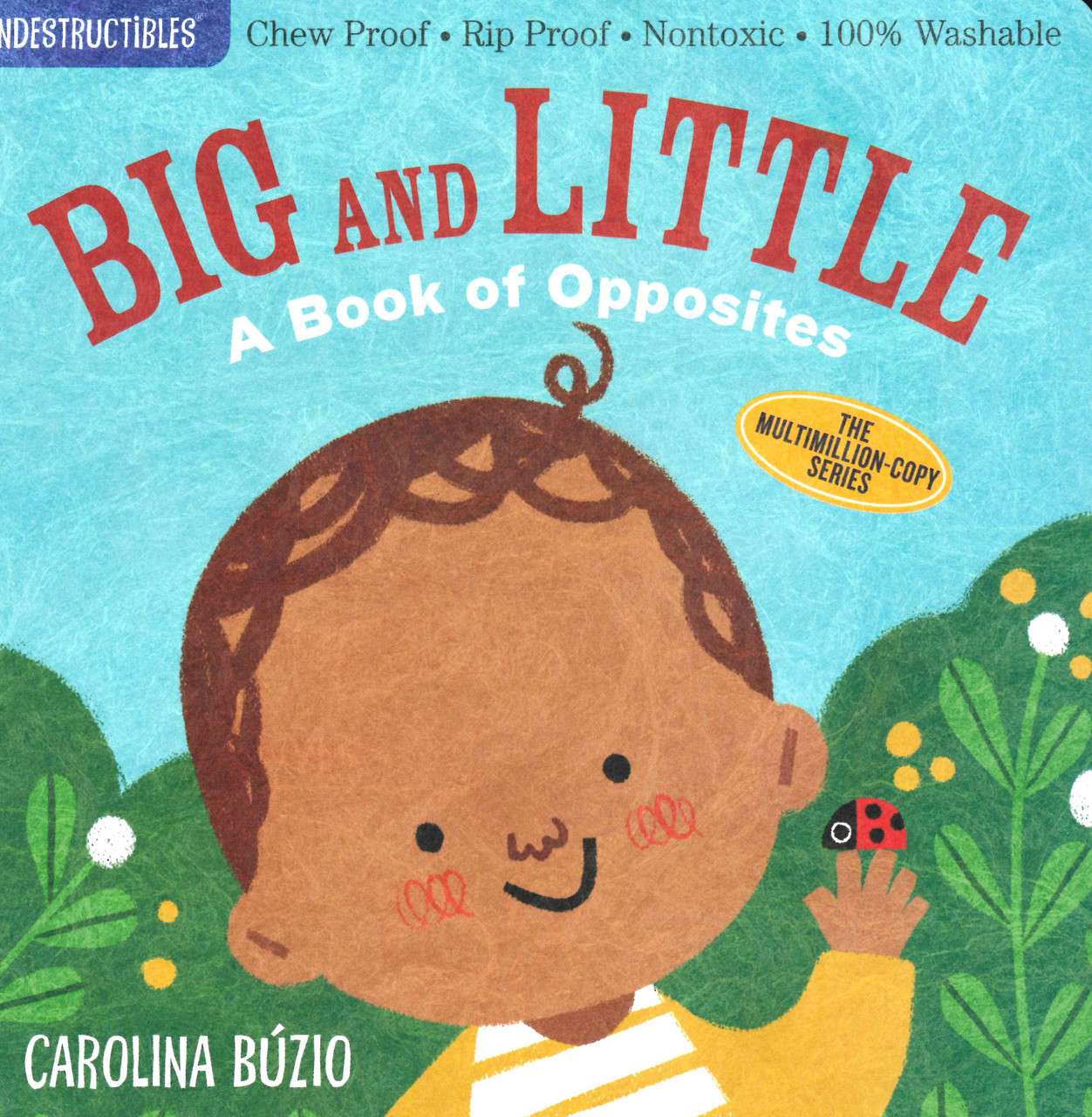 Big and Little: A Book of Opposites (Indestructibles) - Books By The Bushel