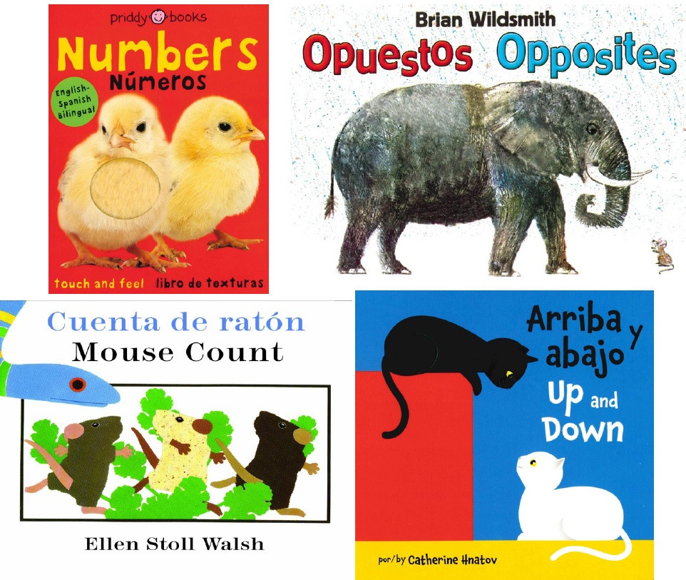 Opposites (Spanish/English) (Board Book) - Books By The Bushel