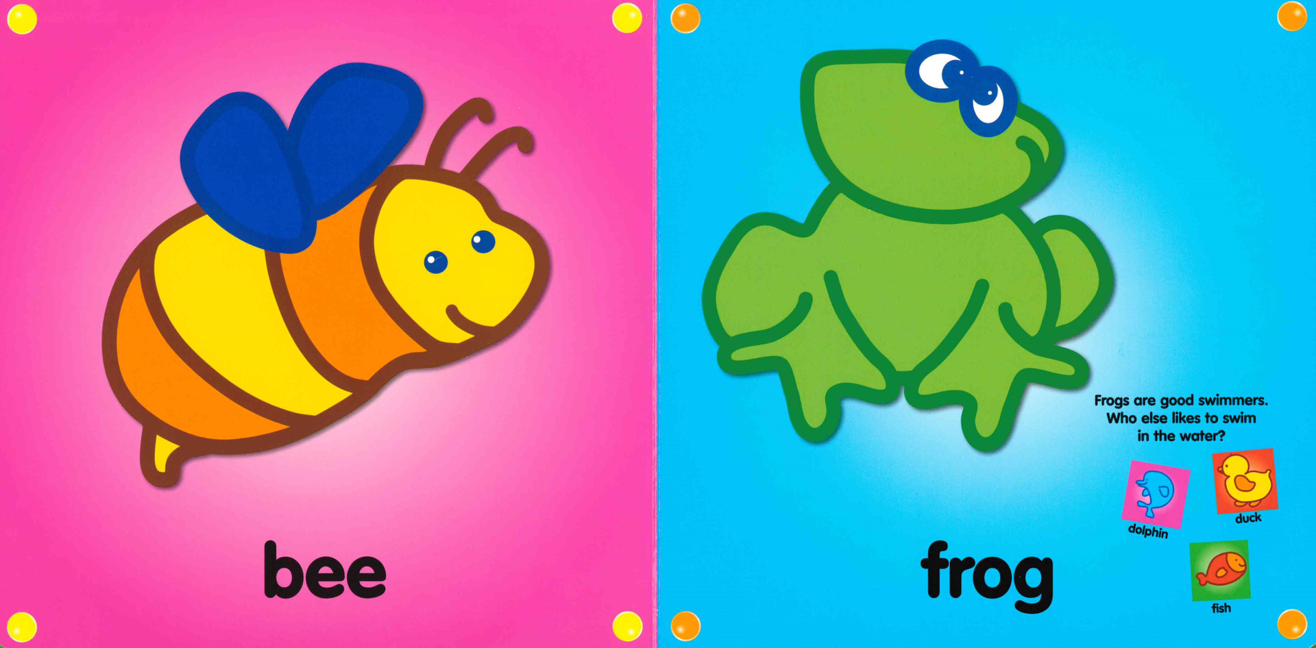 Baby's First Library: Animals (Padded Board Book) - Books By The Bushel