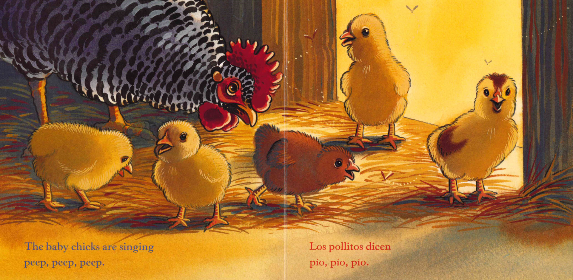 The Baby Chicks Are Singing (Spanish/English) (Board Book) - Books By ...