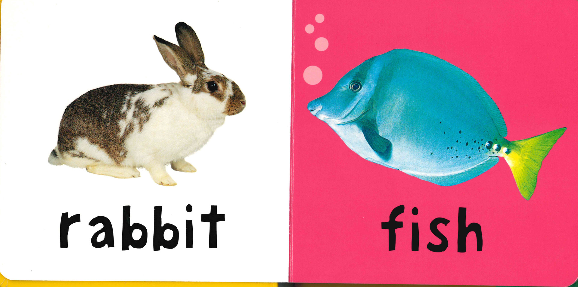 Animals (Board Book) - Books By The Bushel