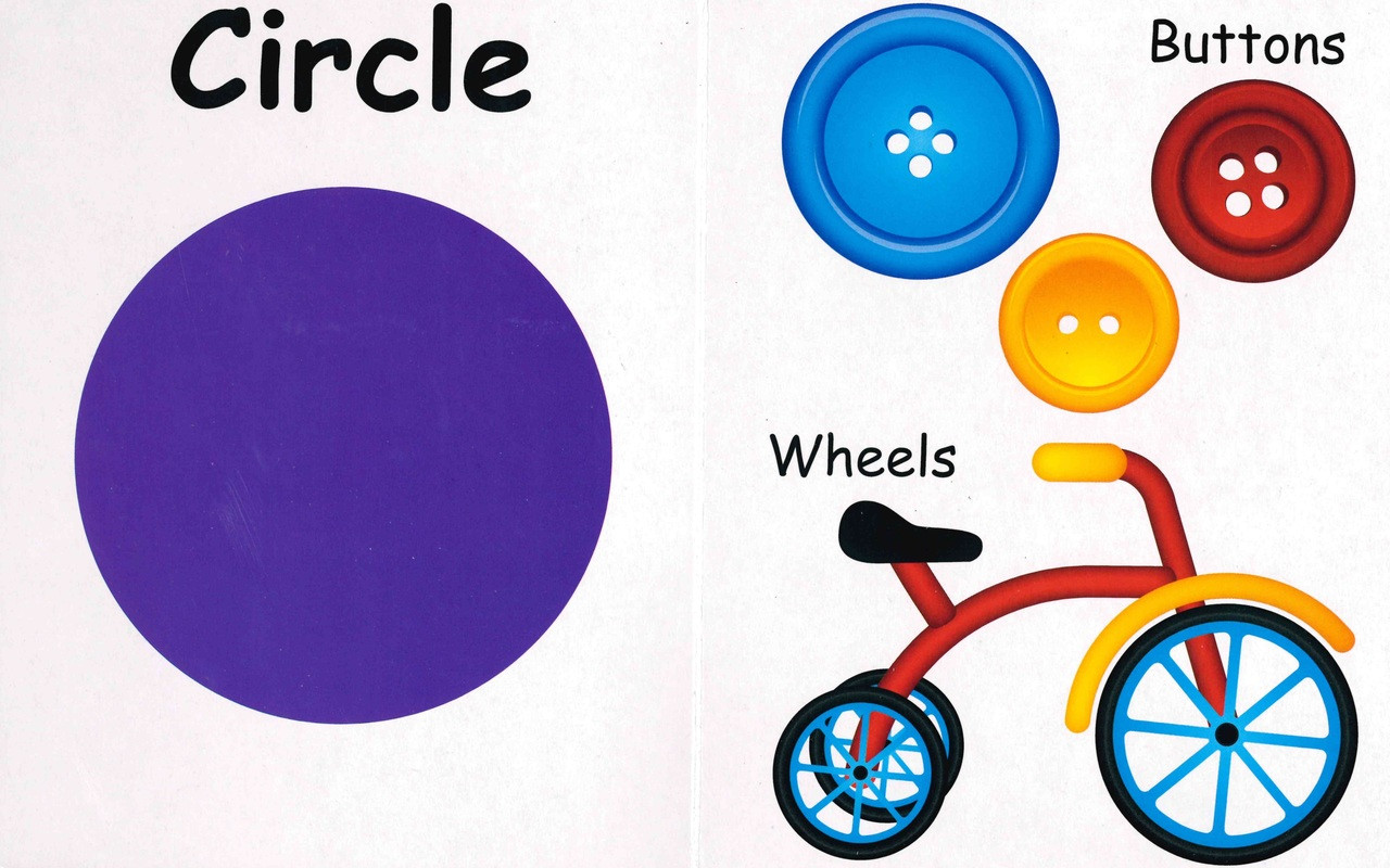 My First Opposites and Shapes (Board Book)* - Books By The Bushel