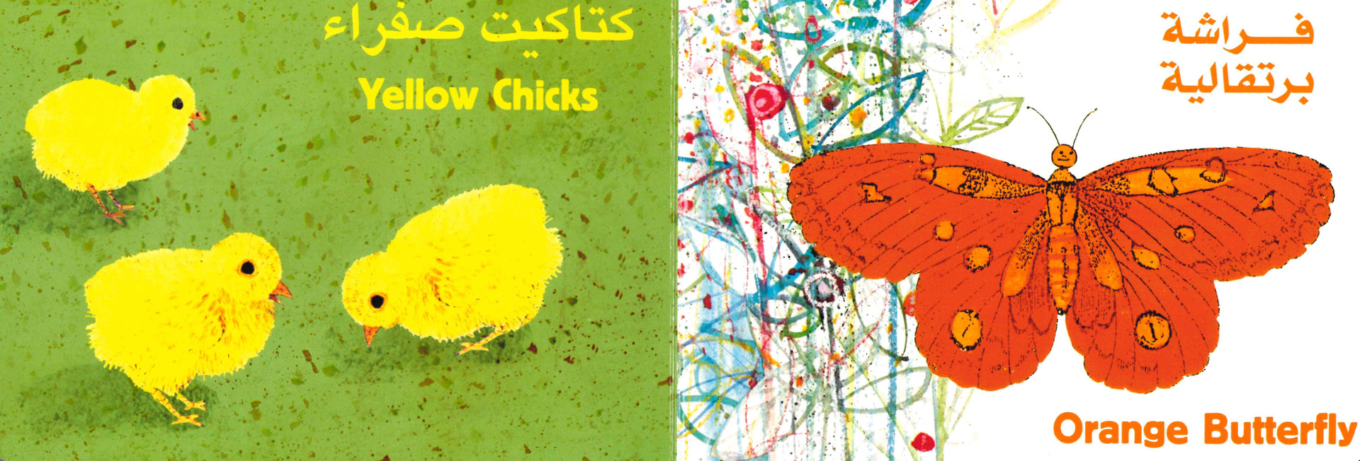 Animal Colors (Arabic/English) (Board Book) - Books By The Bushel