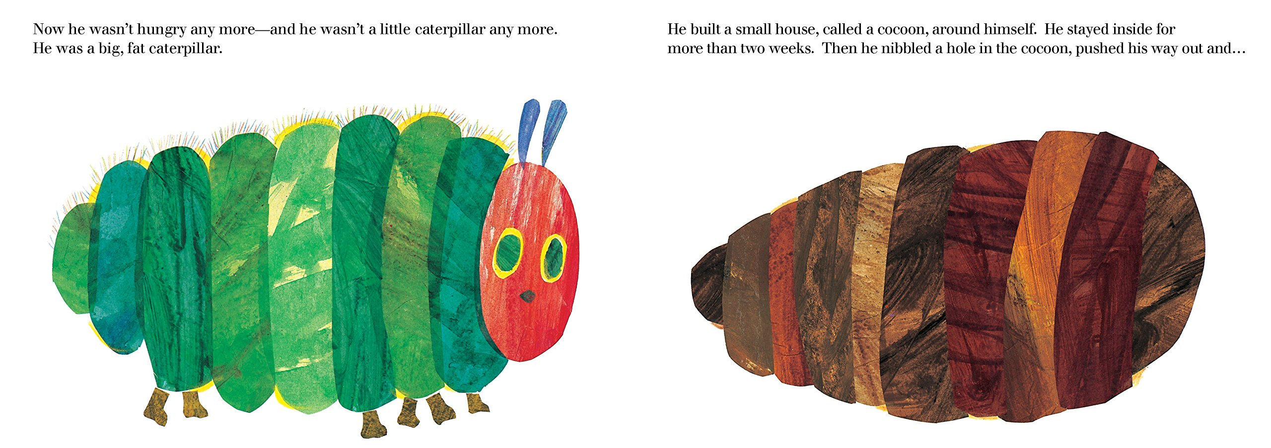 The Very Hungry Caterpillar (Board Book) - Books By The Bushel