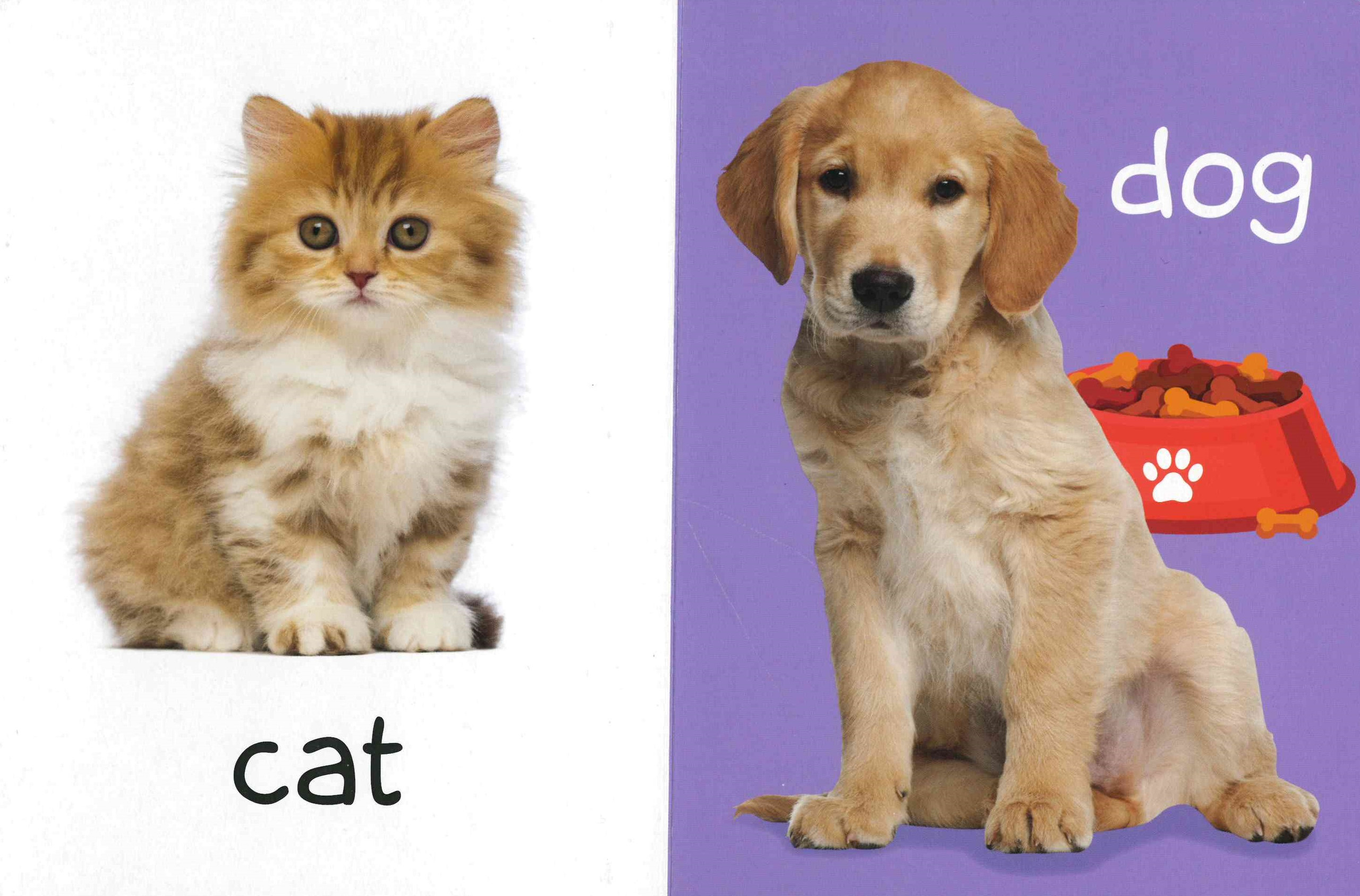 Teaching Tots First Words: Simple Words for Little Ones (Board Book ...