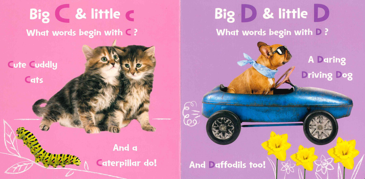 Dr. Seuss's ABC (Board Book) - Books By The Bushel