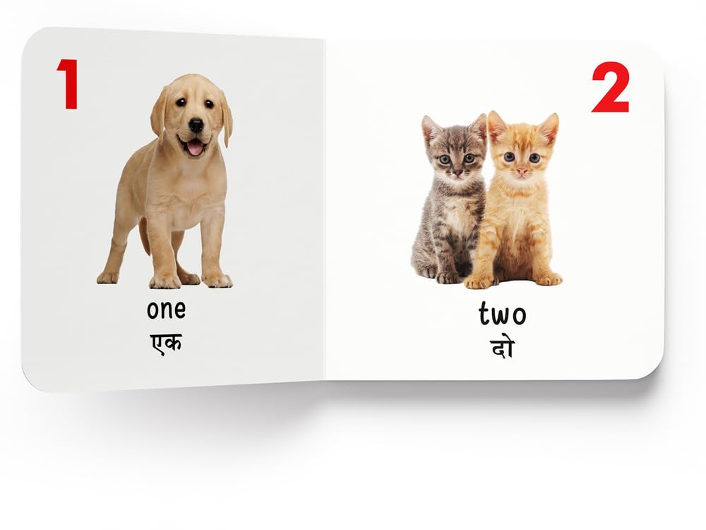 123 Numbers (Board Book) - Books By The Bushel