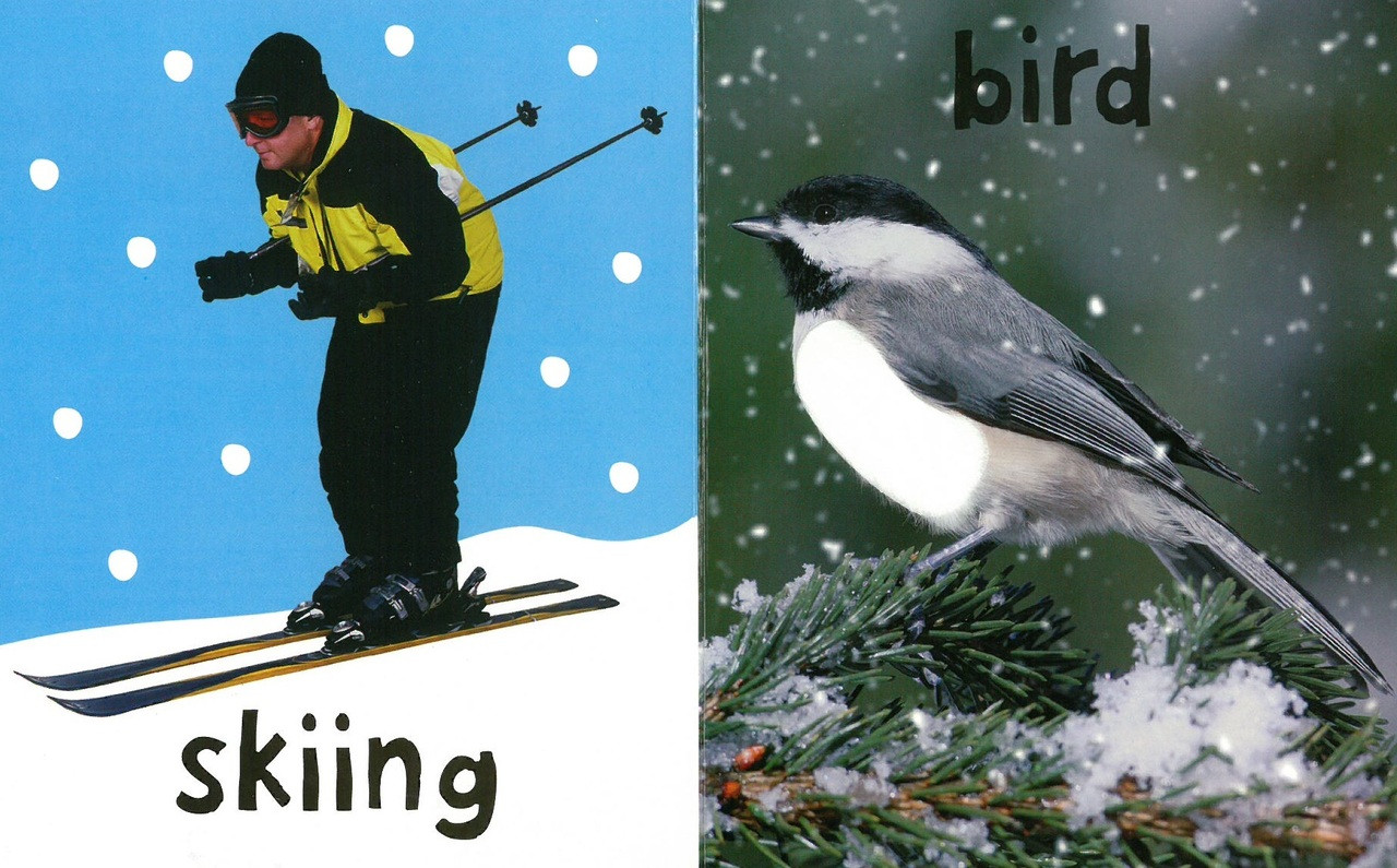 Winter: Seasons (Board Book) - Books By The Bushel