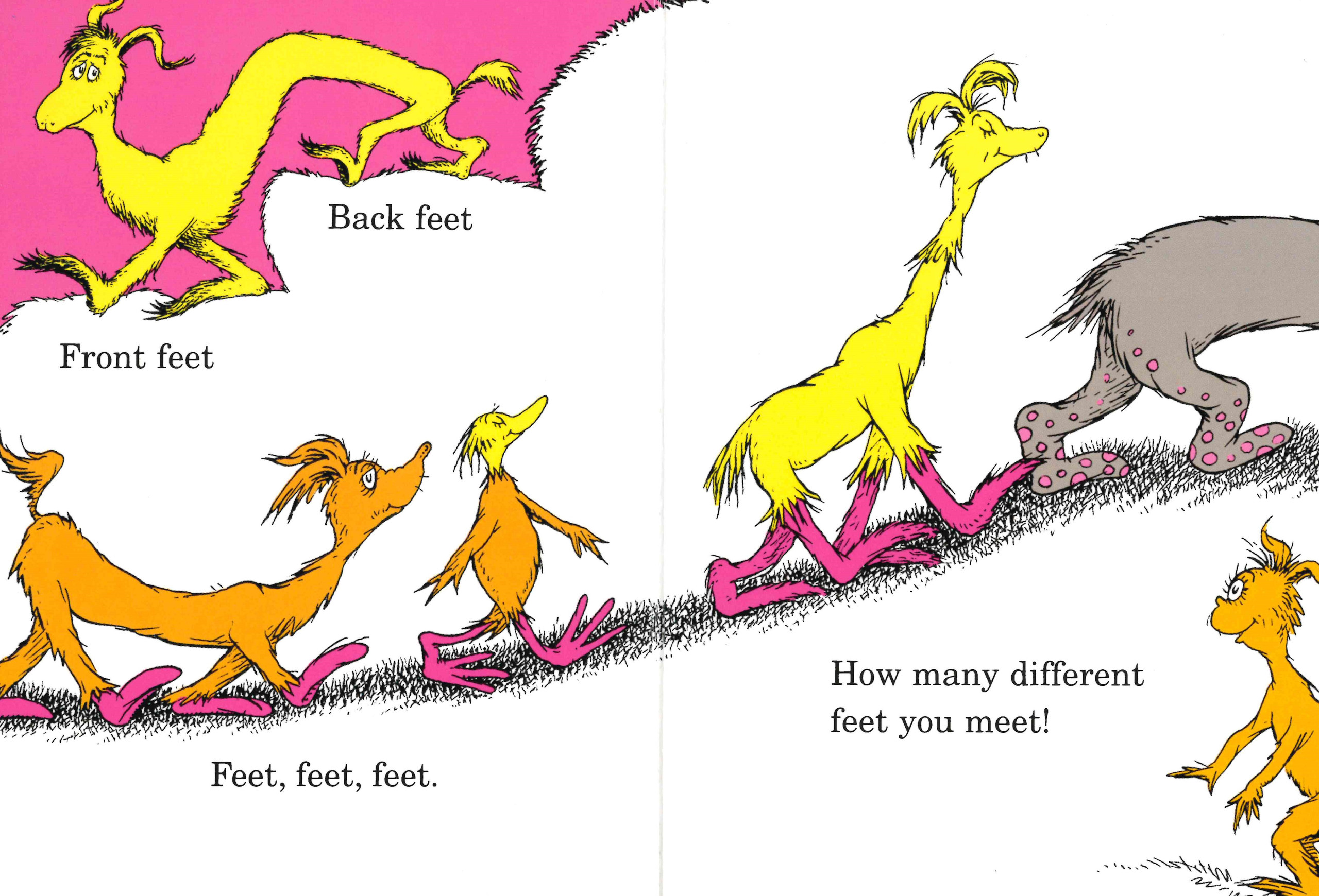 The Foot Book (Board Book) - Books By The Bushel