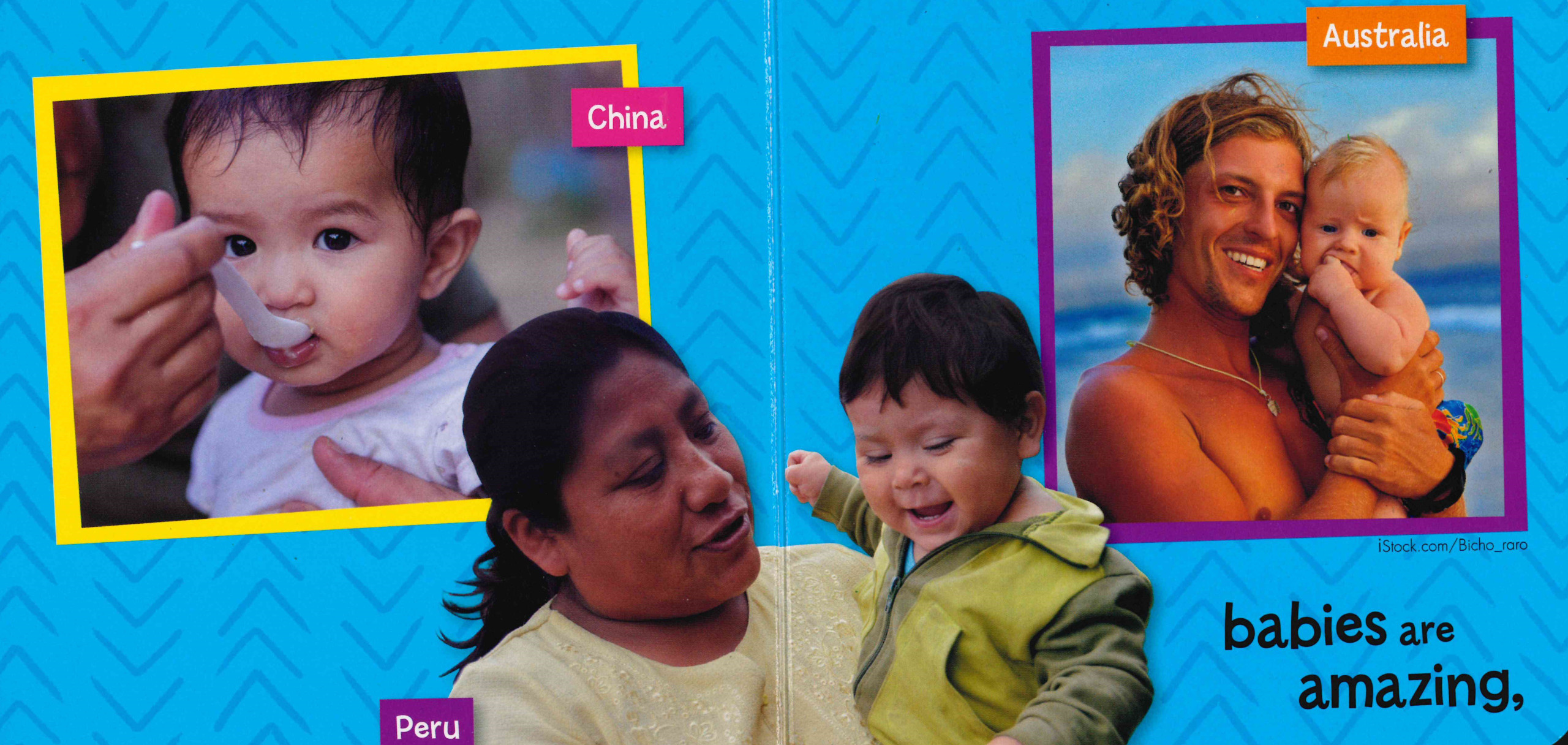 Babies around the World (Board Book)* - Books By The Bushel