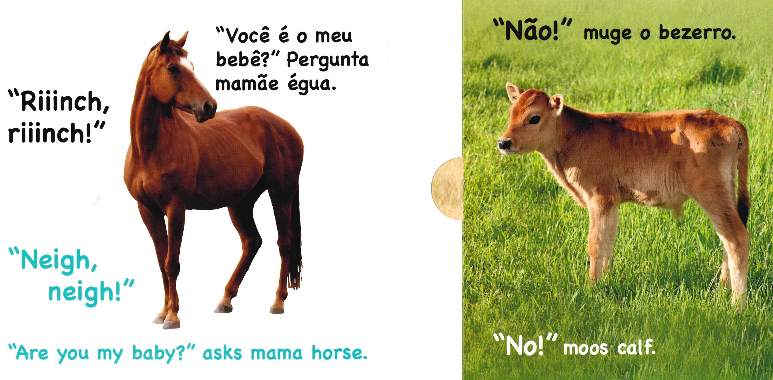 Are You my Baby? ( Portuguese/English) (Board Book) - Books By The Bushel