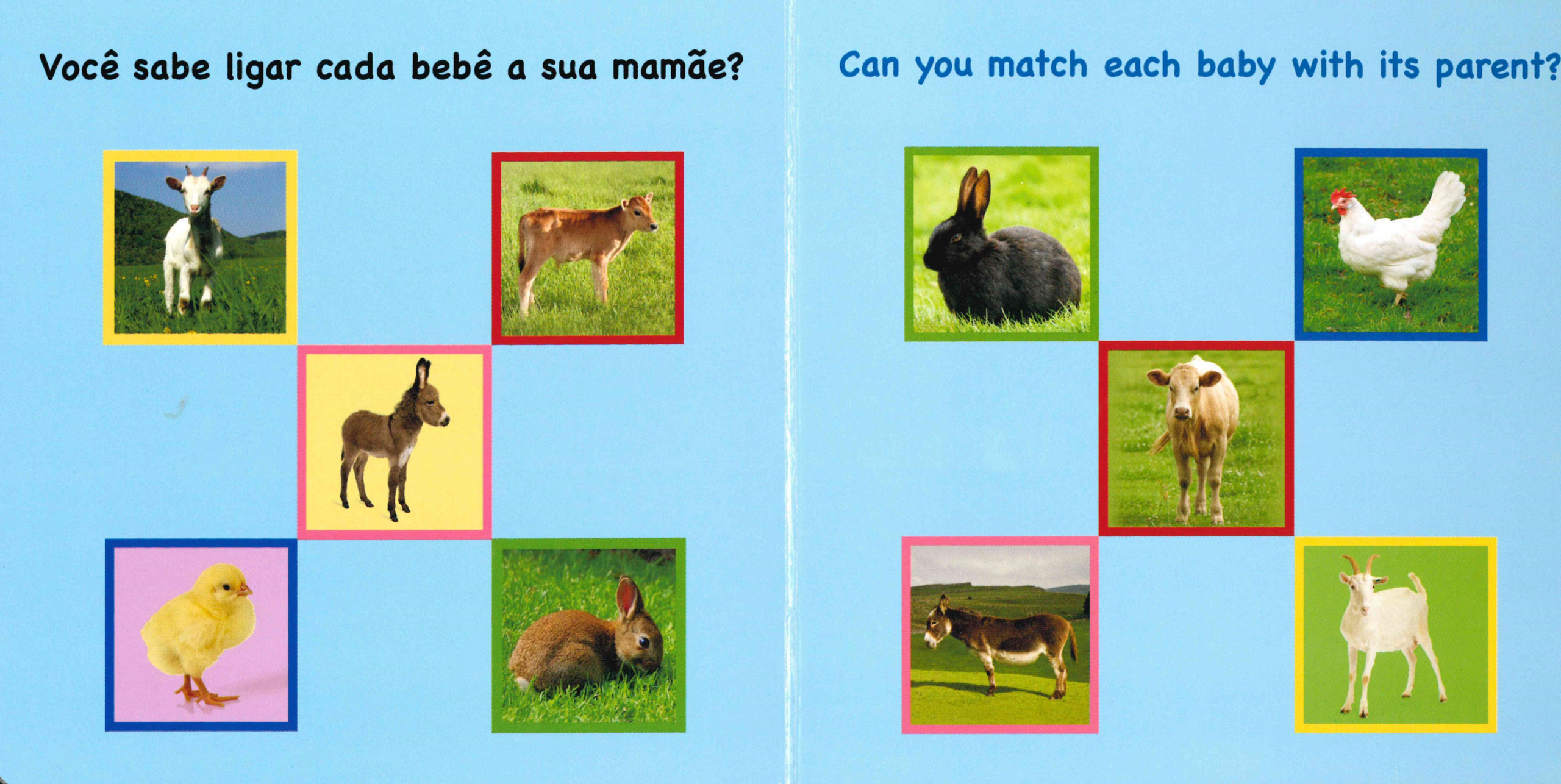 Are You my Baby? ( Portuguese/English) (Board Book) - Books By The Bushel