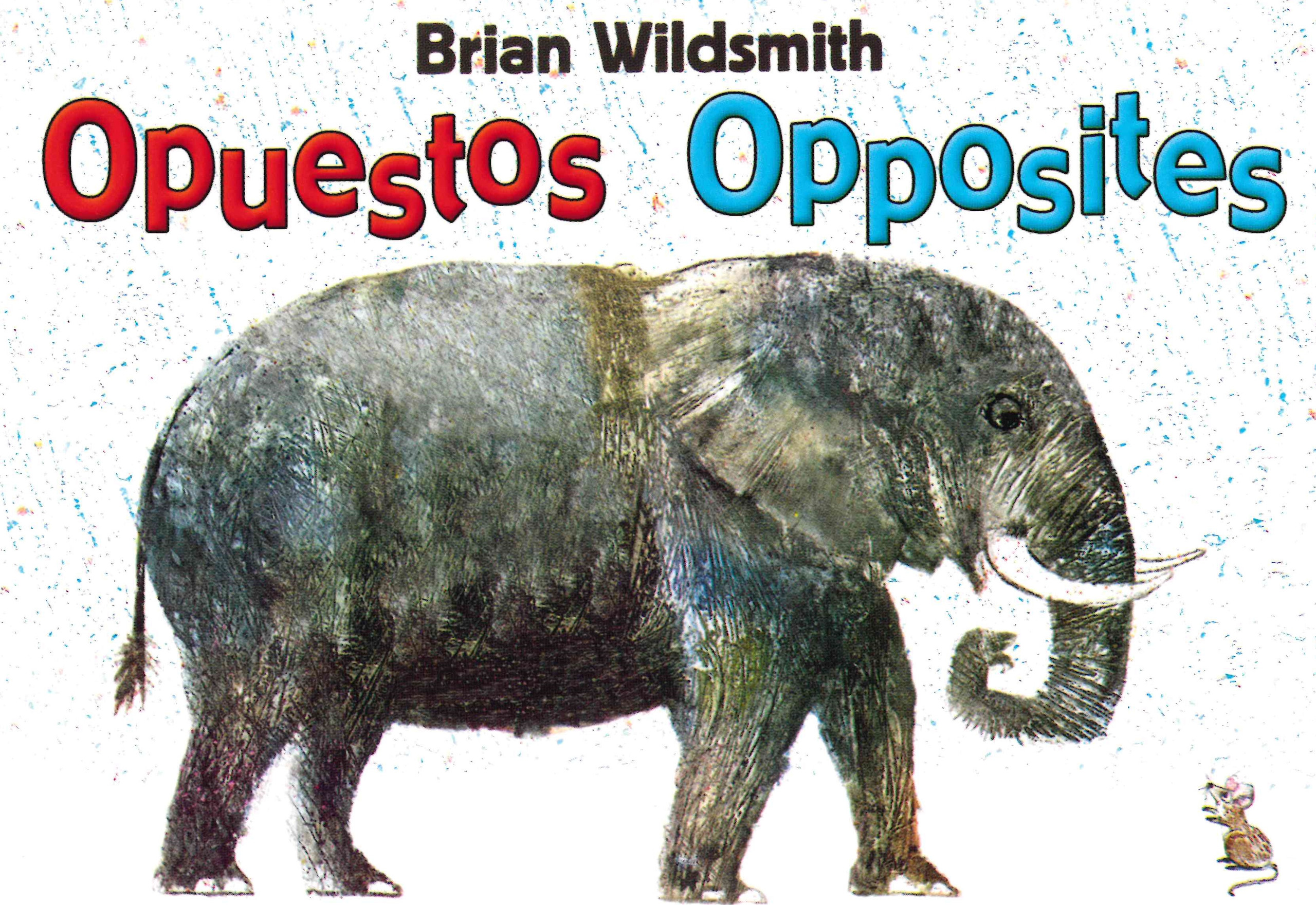 Opposites (Spanish/English) (Board Book) - Books By The Bushel