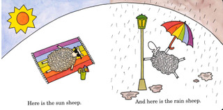 Where Is the Green Sheep? (Board Book)* - Books By The Bushel