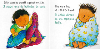 What Do I Feel? Small Senses (Spanish/English) (Board Book) - Books By ...
