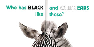 Ears: What Animal Has Ears Like These? (Paperback) - Books By The Bushel