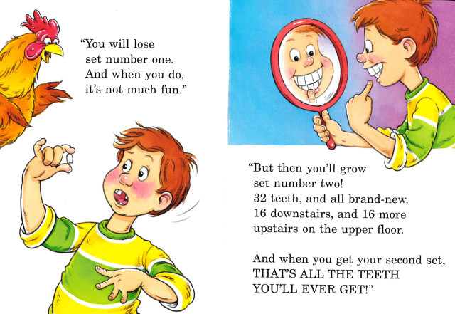 The Tooth Book: Dr. Seuss (Board Book)* - Books By The Bushel