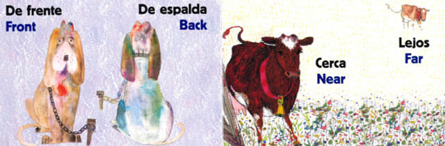 Opposites (Spanish/English) (Board Book) - Books By The Bushel