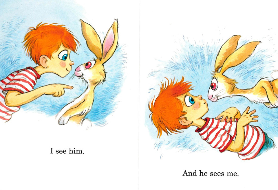 The Eye Book: Dr. Seuss (Board Book) - Books By The Bushel