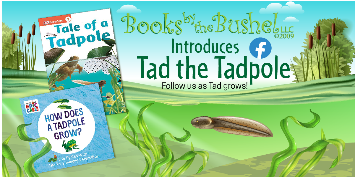 Bushel of Fun Interactive Learning Experiences