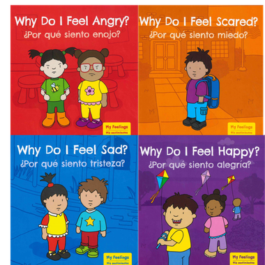 40 Book Bundle - Why Do I Feel... (Spanish/English) (Board Book)