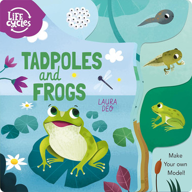 Tadpoles and Frogs: Life Cycles (Board Book) - Books By The Bushel