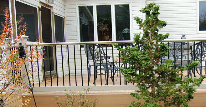 RDI Endurance Rail | Buy from Deck Expressions