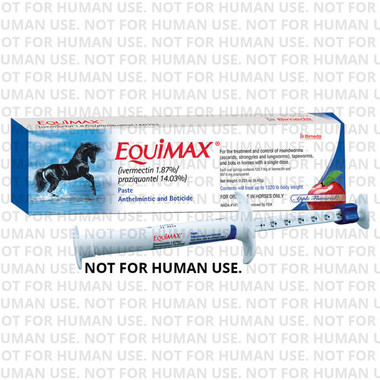 EquiMAX Paste Horse Dewormer - 1 Tube (6.42 GM) (Contains 1.87% ...