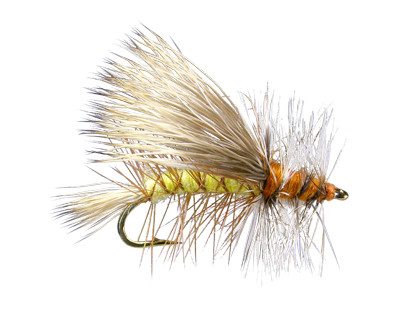 Flies - Emergers, Pupae & Dry Flies - Stoneflies - Casters Fly Shop