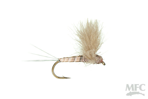 Montana Fly Company // Quill Body CDC Comparadun Hendrickson