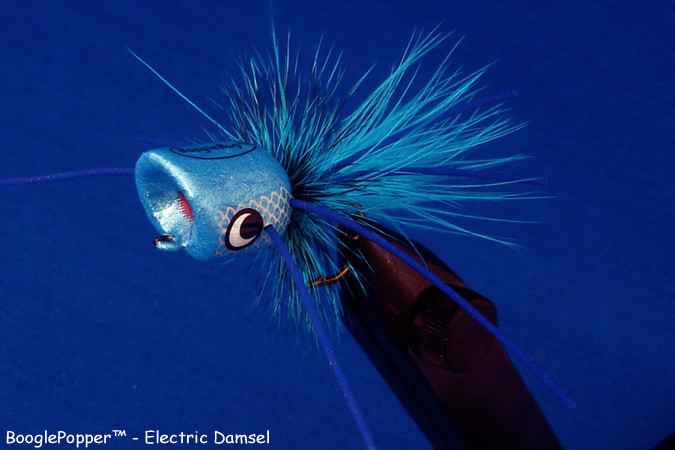 BoogleBug® - Bass Bream Bugs / FREE STANDARD US SHIPPING / Boogle Bug ...