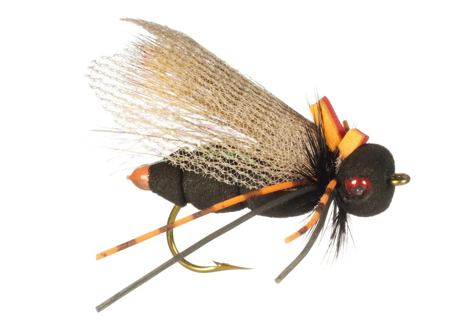 Terrestrial Fly Patterns / Project Cicada Fly Pattern