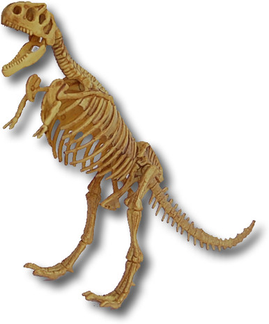 IMEX 49754 T-Rex Small Skeleton Kit - hobbywurks