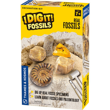 Thames & Kosmos 630461 I Dig It! Fossils - Real Fossils Excavation Kit ...