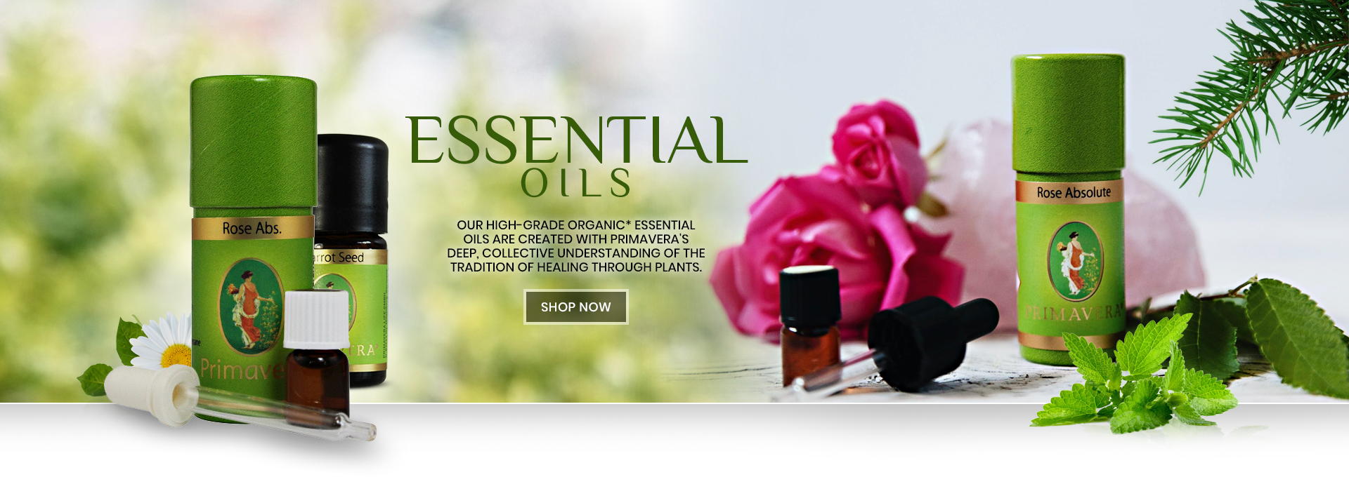 Aromatherapy Essential Oils | Healing Oils | Organic Oils - Goddess Of ...