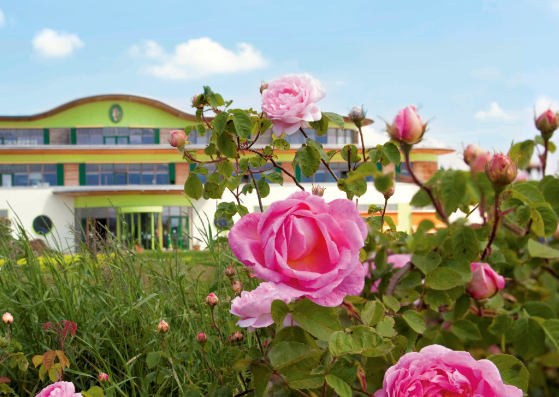 Video-Primavera Life - Goddess of Spring