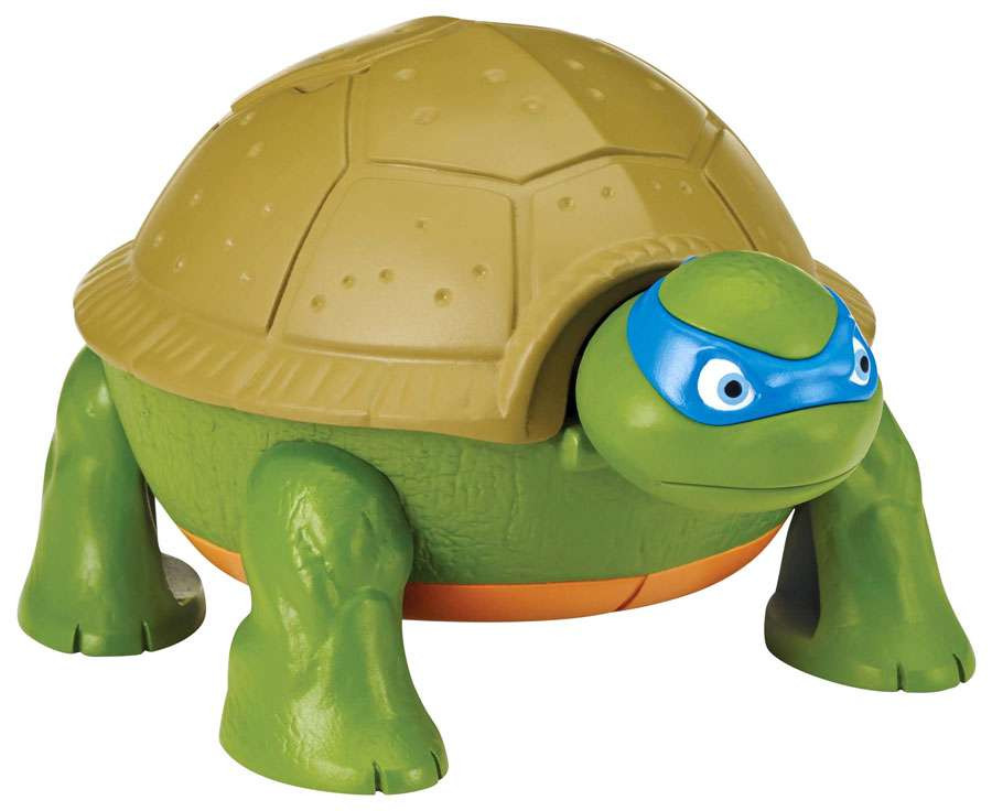 Teenage Mutant Ninja Turtles Nickelodeon Dojo