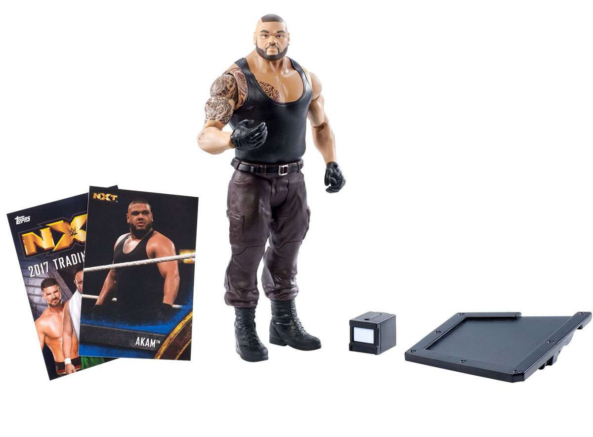WWE Wrestling NXT Takeover Akam Exclusive Action Figure Mattel Toys ...
