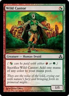 Magic The Gathering Guildpact Single Card Common Wild Cantor 149 - ToyWiz