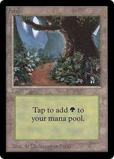 Magic The Gathering Beta Single Card Basic Land Forest Random Artwork ...
