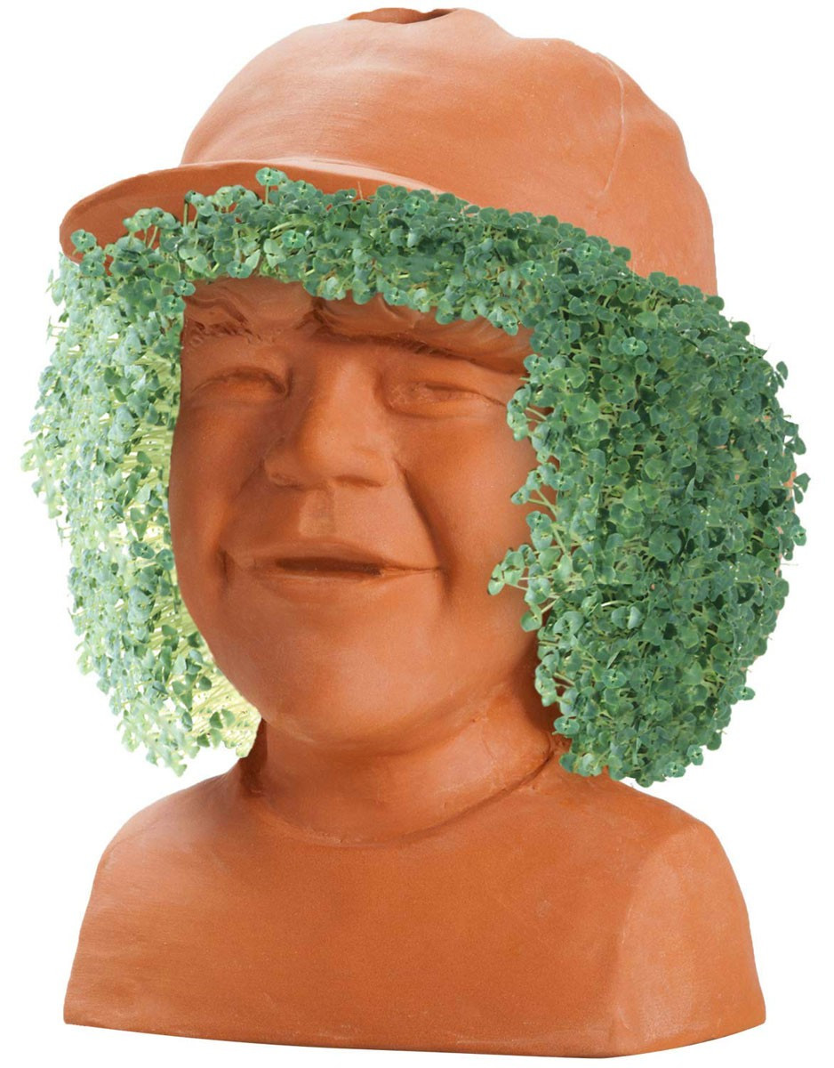NECA Stranger Things Dustin Chia Pet - ToyWiz