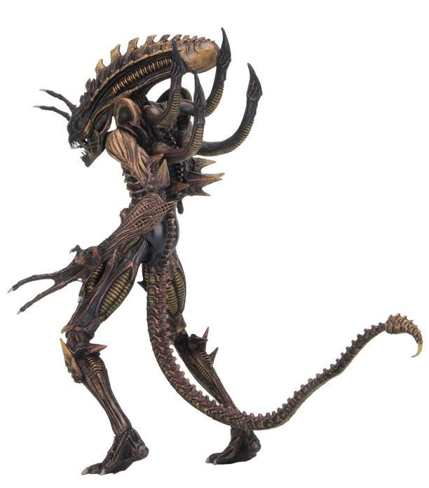 NECA Aliens Series 13 Snake Alien 9 Action Figure - ToyWiz