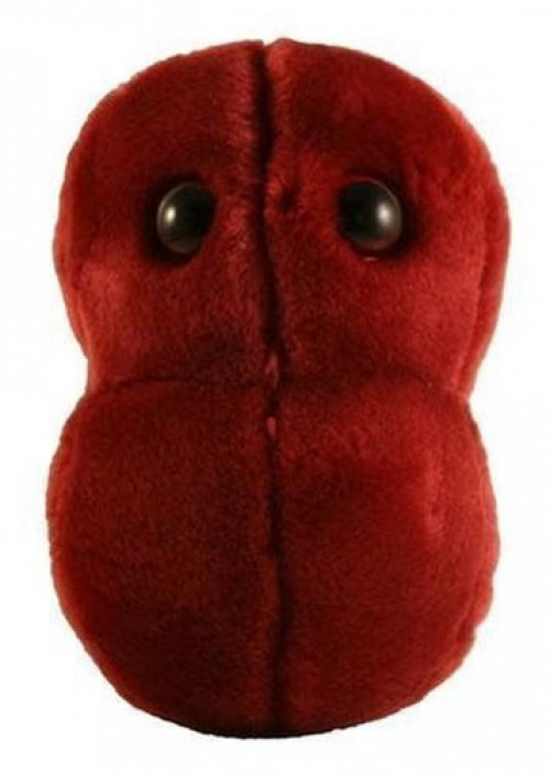 Giant Microbes Health Microbe Sore Throat Plush Doll Streptococcus - ToyWiz