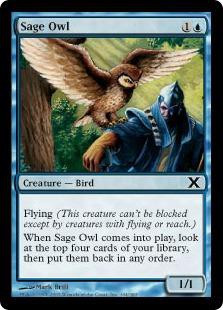 Magic The Gathering 10th Edition Single Card Common Sage Owl 104 - ToyWiz