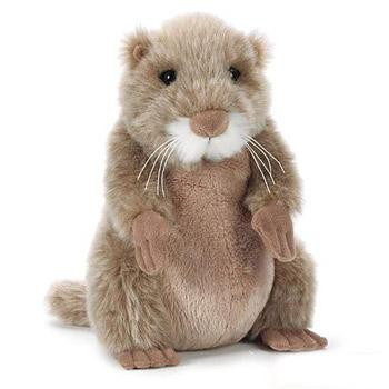 Webkinz Prairie Dog Plush Ganz - ToyWiz