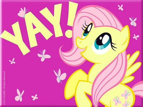 My Little Pony Novelties Fluttershy Magnet Yay Ripple Junction - ToyWiz
