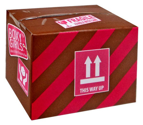 Boxy Girls LARGE Shipping Box 1 Accessory Mystery Pack Jay at Play - ToyWiz